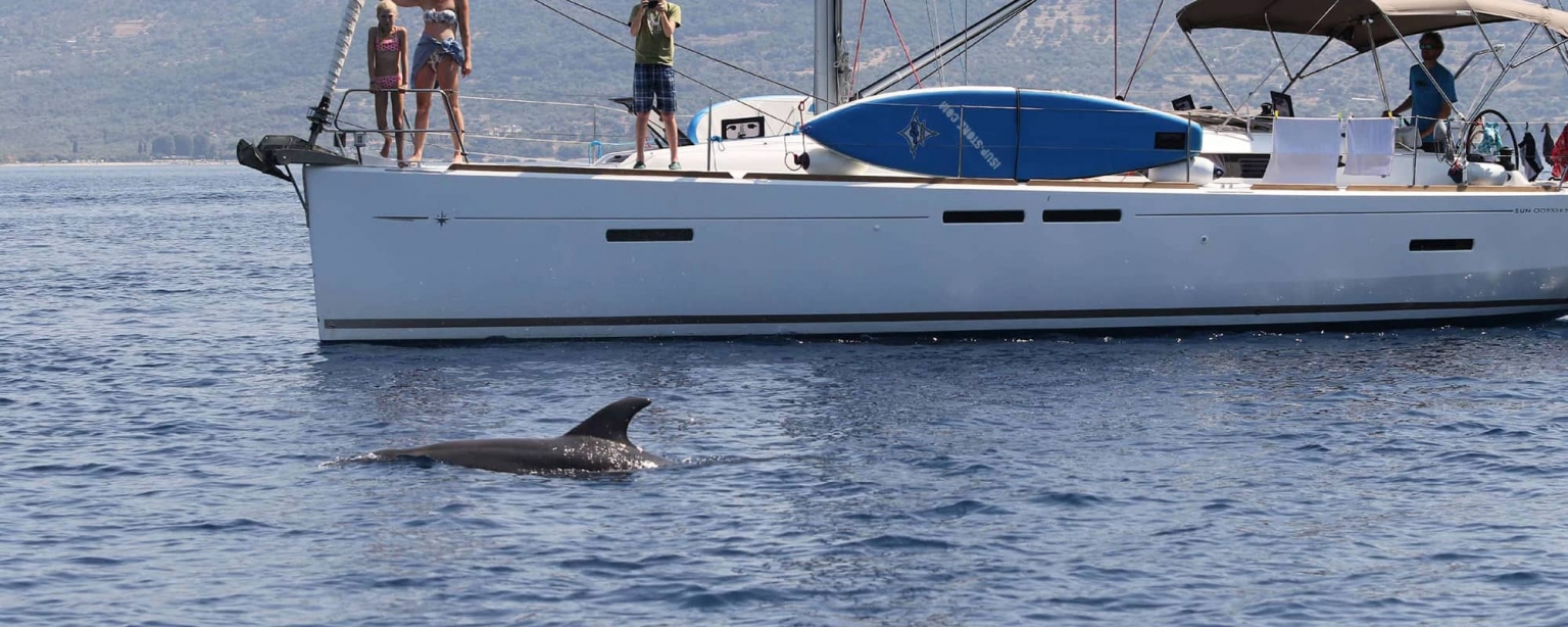 Report a sighting - Ionian Dolphin Project